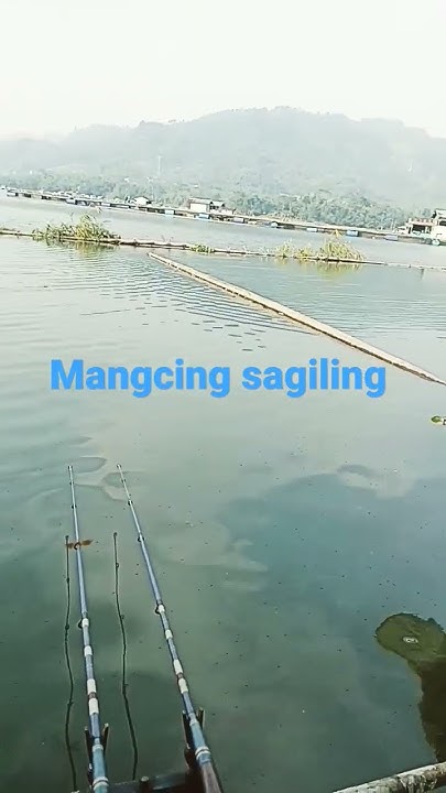 mancing#hiburan#saguling rancapanggung#ikan dalam danau - YouTube