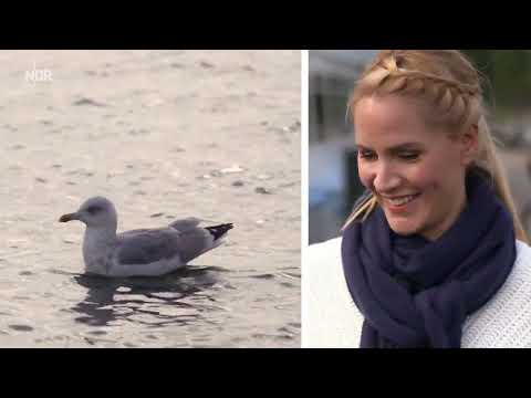 Hiddensee |  ...mit Judith Rakers