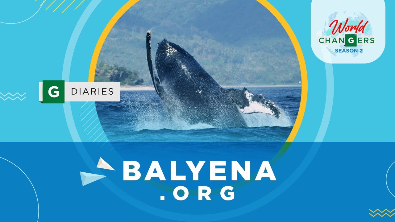 World Changers: Balyena.Org - YouTube