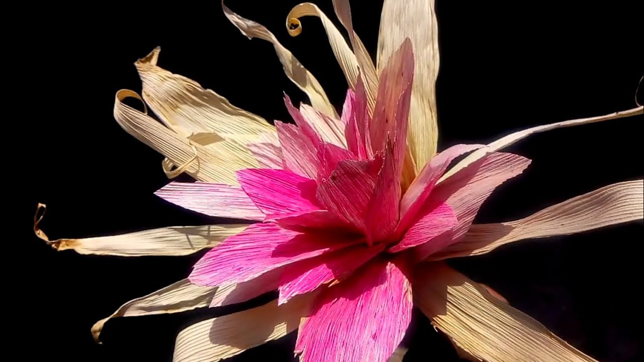 Corn husk Flower making | Black pulse | husk reuse idas #craft #decor ...