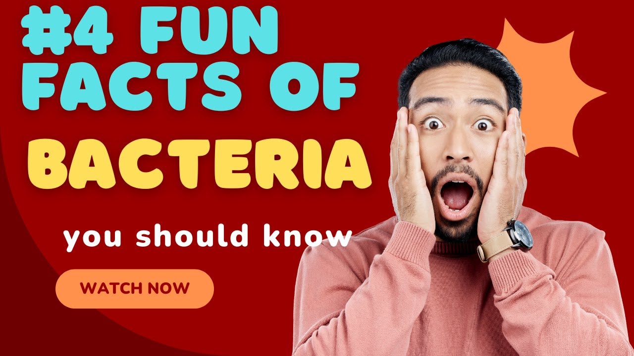 Mind-Blowing Bacteria Facts! 🤯 | Microbiology Fun Facts You Didn’t Know ...