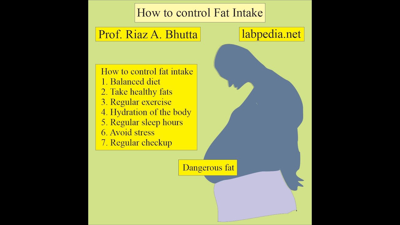 How to control fat intake by Prof. Riaz A. Bhutta, labpedia.net (Urdu ...