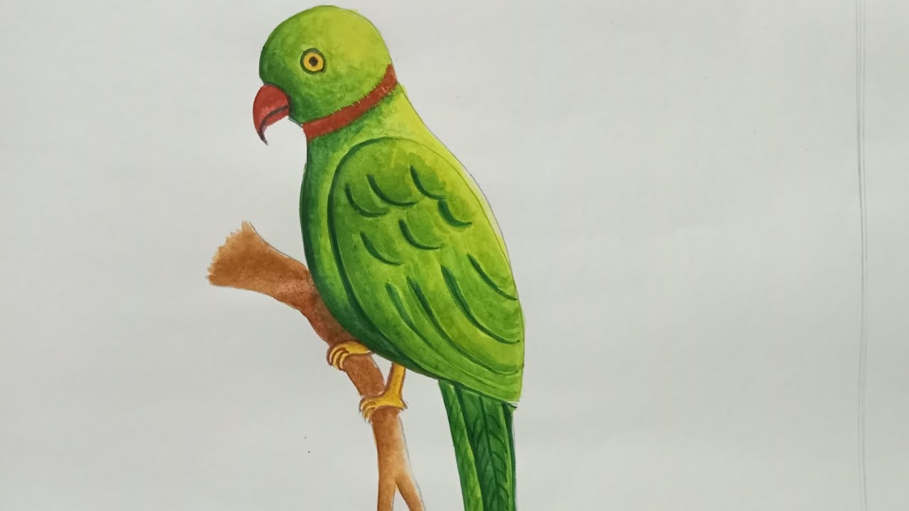parrot drawing easy সহজে টিয়া পাখি আঁকা - YouTube