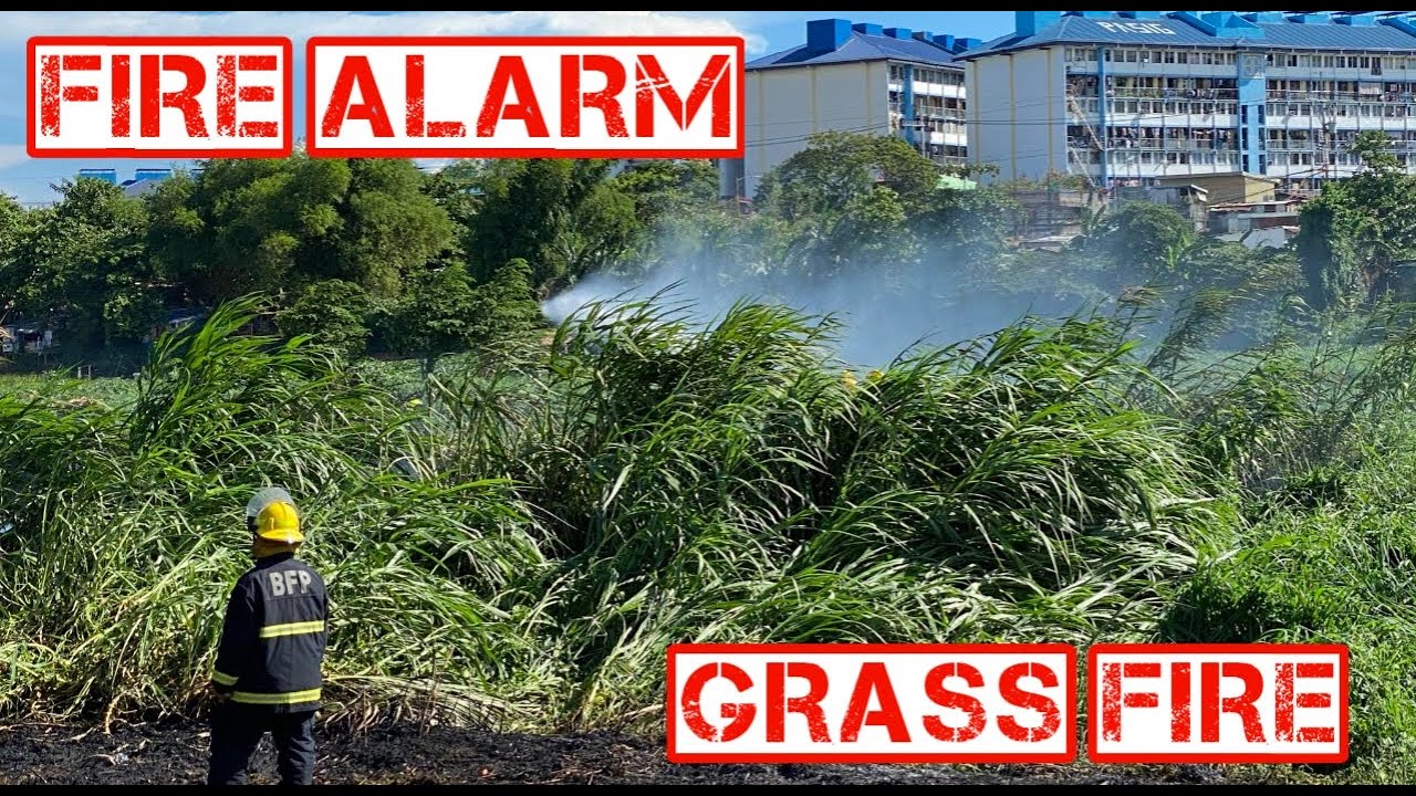10-70 (SUNOG) GRASS FIRE @EastBank Road, Barangay Sta. Lucia, Pasig ...