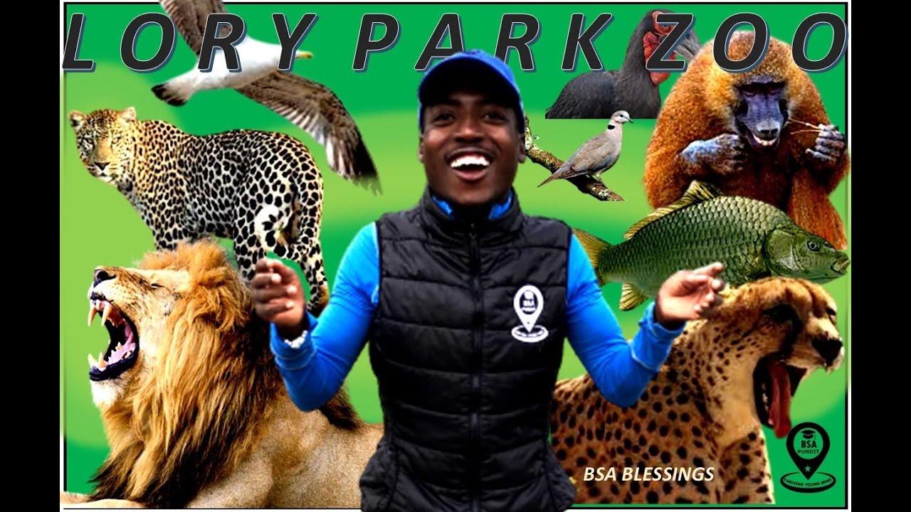 Exploring your favorite animals at Lory Park Zoo (part 1) - YouTube