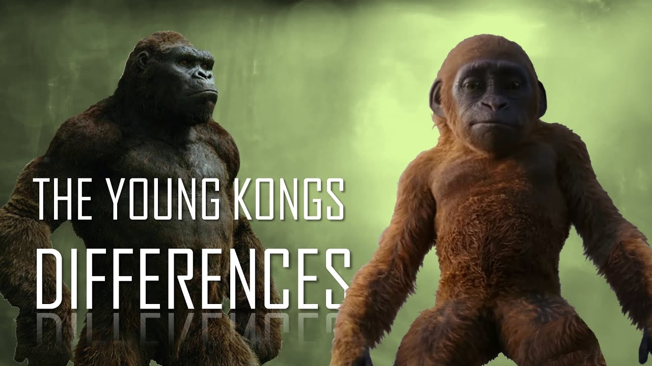 MINI KONG & Kong (2017) Size & Differences Explained - YouTube