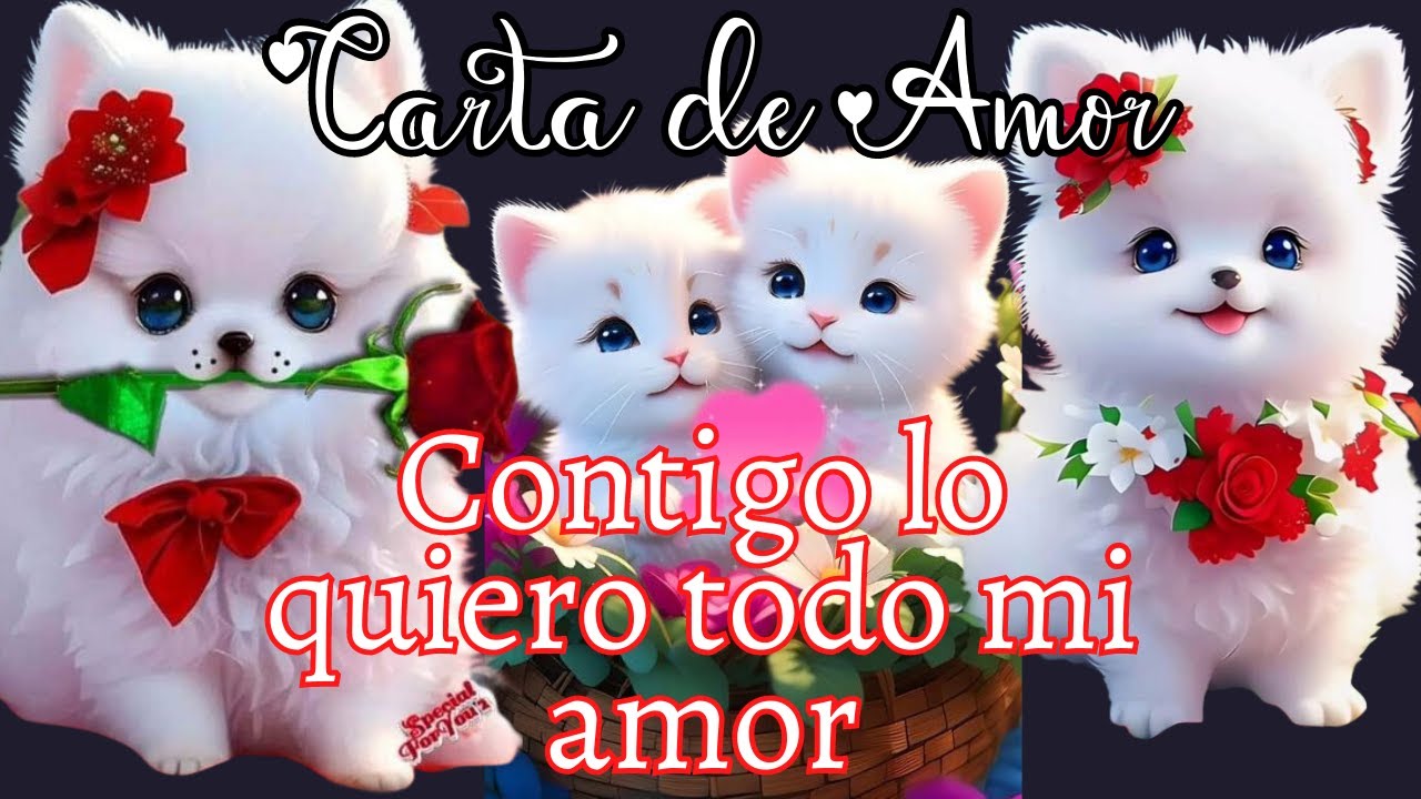 Carta de amor 💌 - Contigo lo quiero todo mi amor - YouTube