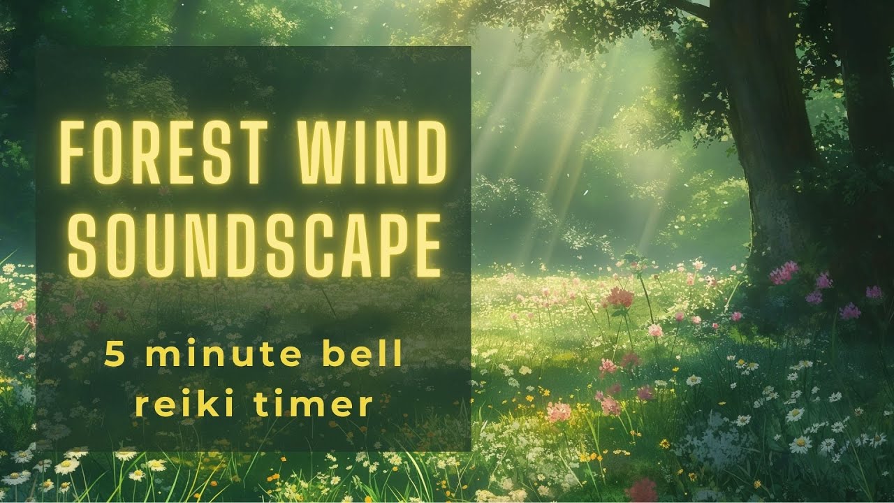 Forest wind and birdsong - 3 minute timer - Reiki and meditation timer ...