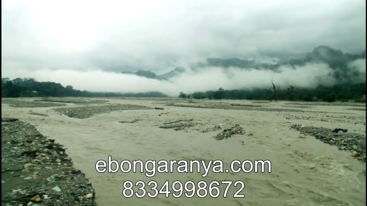 Jayanti River Dooars | Jayanti on the day of flood 11 8 2017 - YouTube