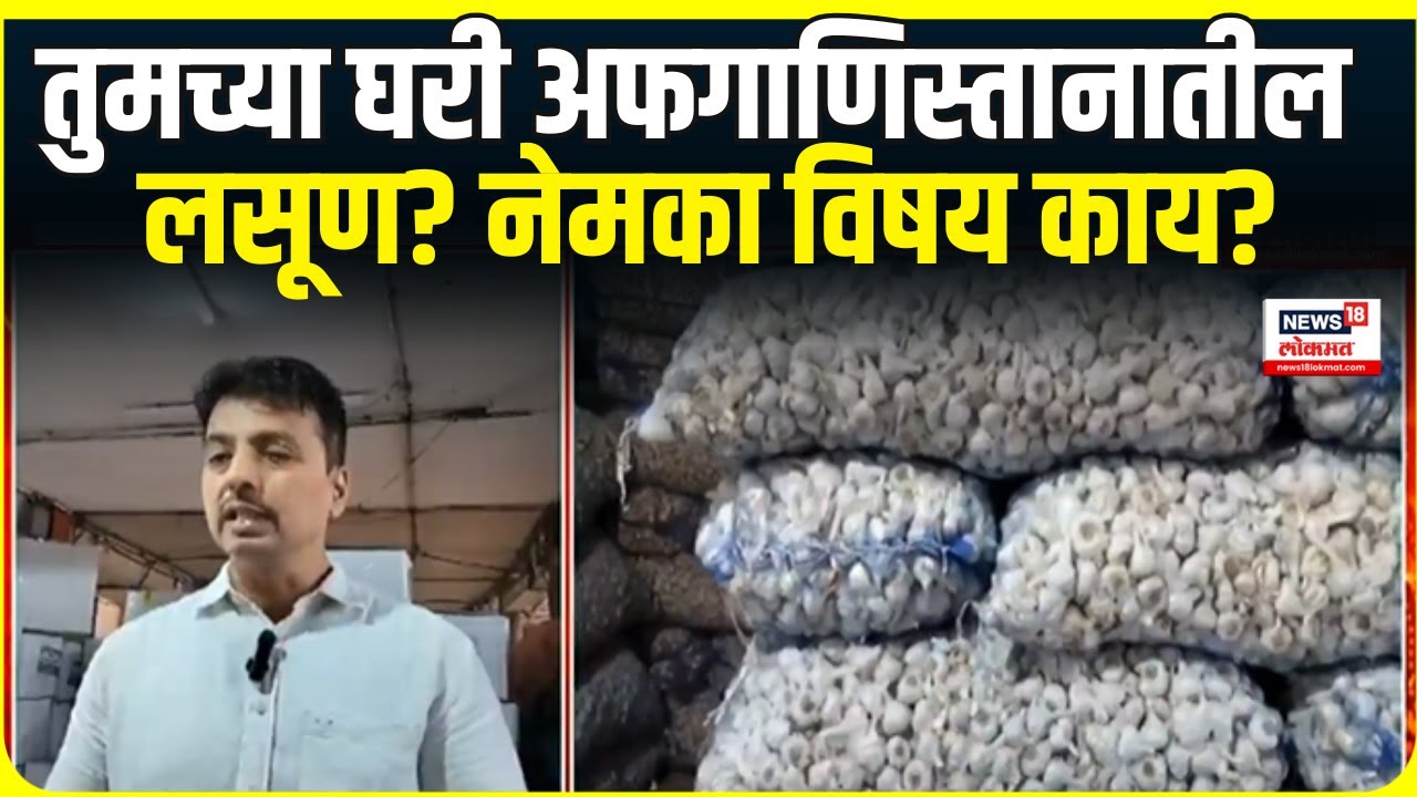 Afghan Garlic In Indian Market: तुमच्या घरी अफगाणिस्तानातील लसूण? नेमका ...