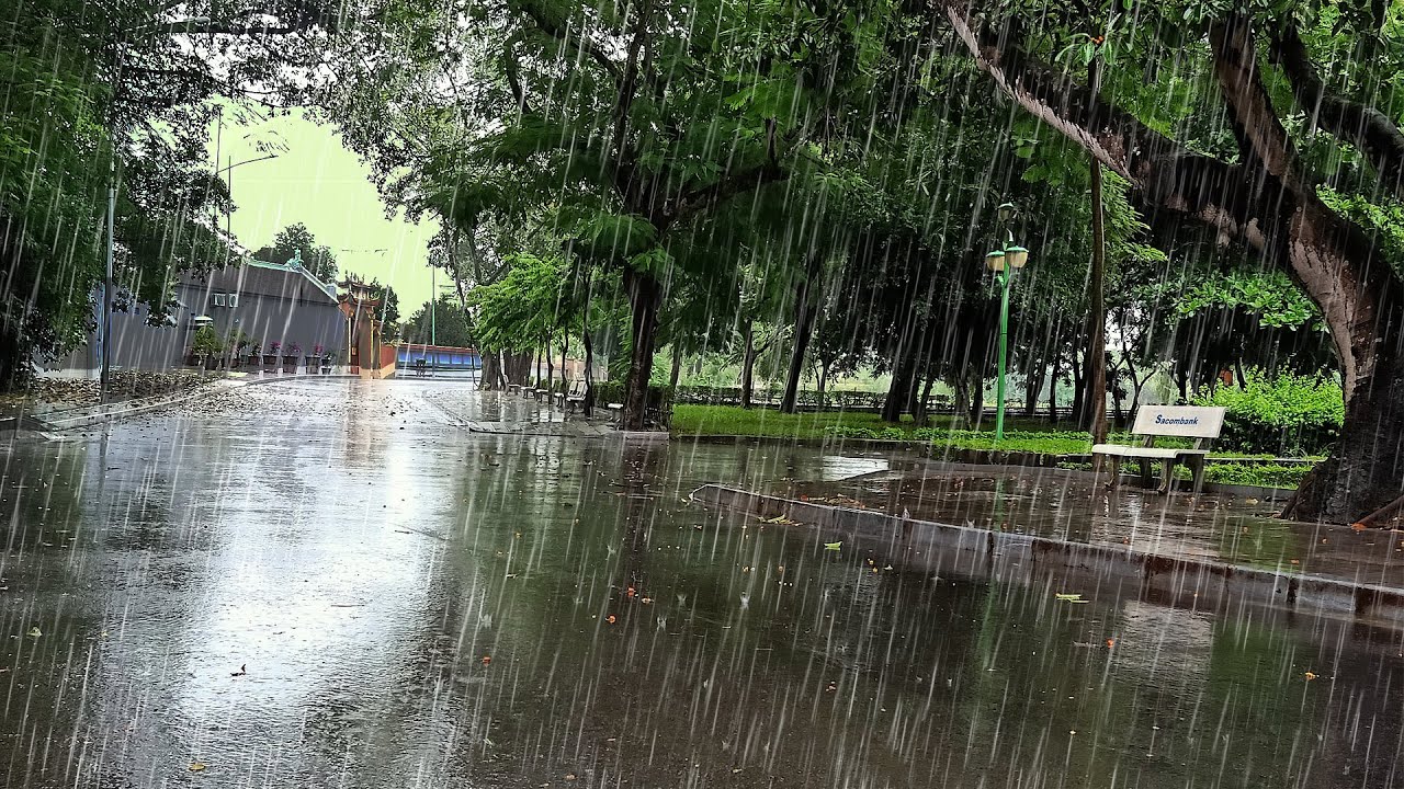 Heavy Rain Rattled Down the Beautiful Quiet Road in the Ancient Park ...