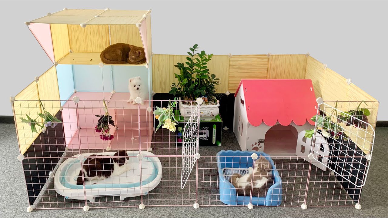 How to make a Luxury Resort for Cute Pomeranian dogs and cats - DIY ...