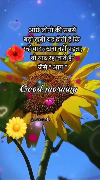 Rnd Films Phulo Ki Khubsurti Ke Sath Aap Sabhi Ko Good Morning You