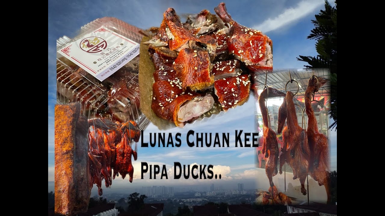Lunas Chuan Kee Pipa & Roast Ducks - YouTube