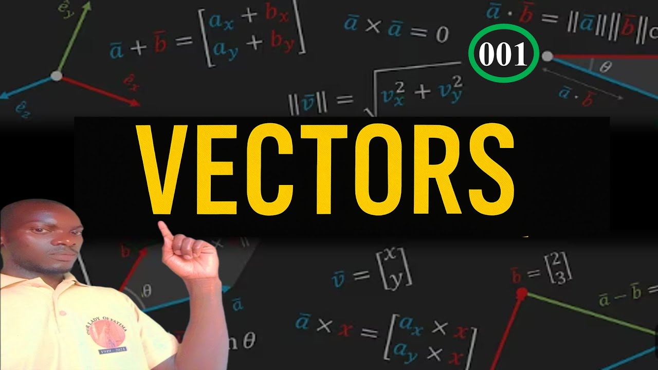 The Complete Beginner’s Tutorial to Mastering Vectors + Easy Step by ...