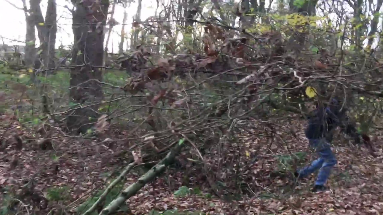 A New Researcher? UK Bigfoot - YouTube