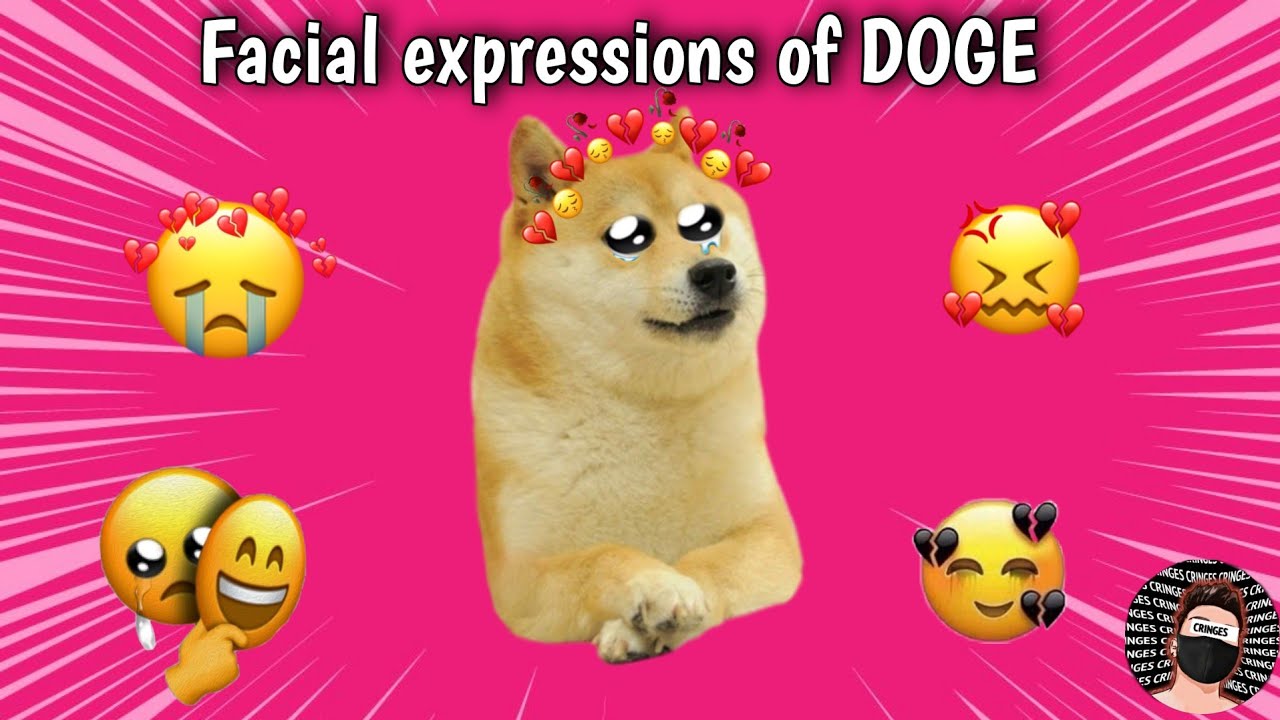 GREEN SCREEN OF SAD EXPRESSIONS OF DOGE - YouTube