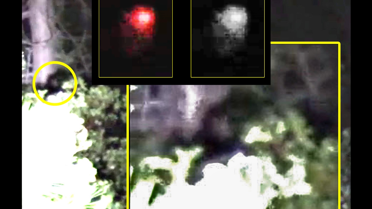 Dan Shirley - Red "eyeshine" and 26:00 analysis. - YouTube