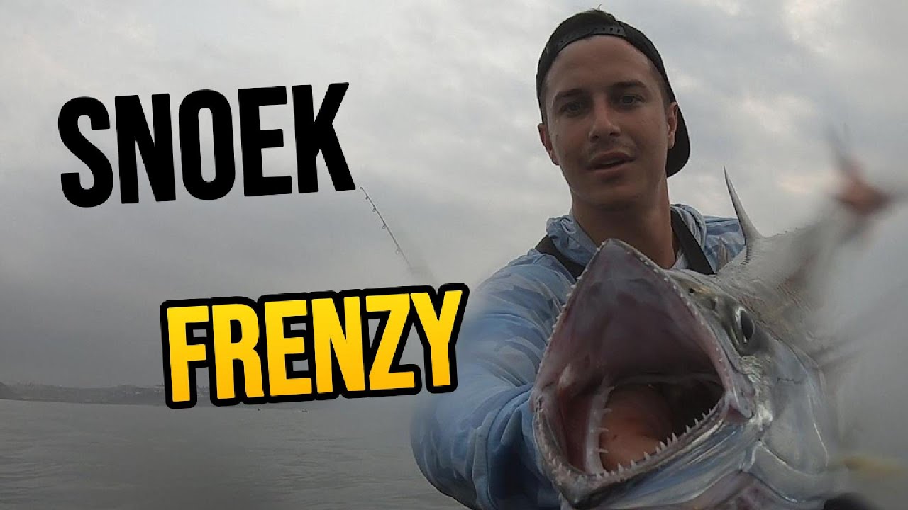 Crazy day : catching Natal Snoek off a Stealth kayak - YouTube