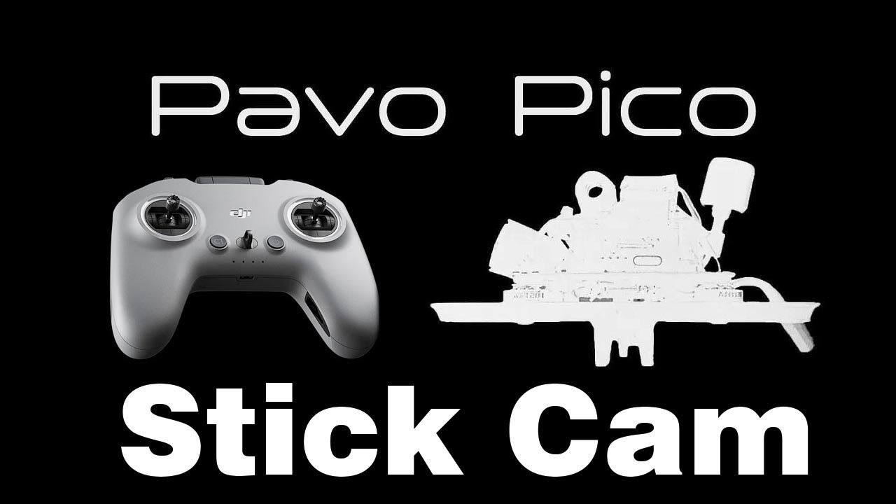 pavo pico/ Stick cam - YouTube