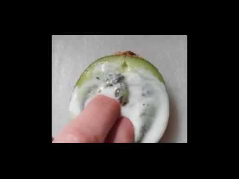 Racy Instagram account sees woman putting her finger in fruit - YouTube