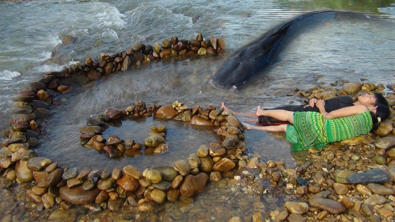 A very unique way to trap fish, arranges rocks to create a trap to ...
