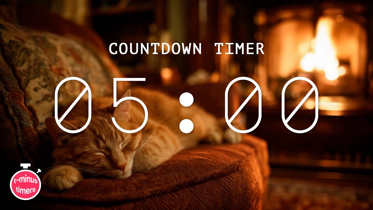 Cozy Cat Timer (5 minutes countdown) - YouTube