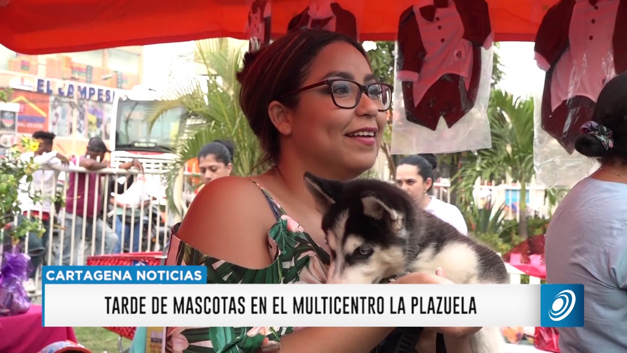 TARDE DE MASCOTAS EN EL MULTICENTRO LA PLAZUELA - YouTube