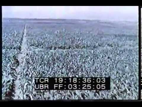 CIA blowback Iran Guatemala (#26) - YouTube