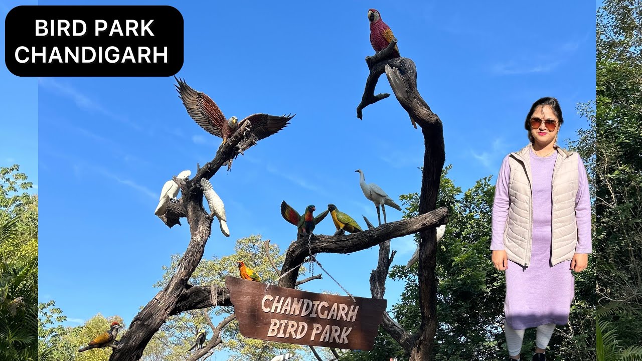Bird Park Chandigarh || Must visit place for Tourists || Natural Beauty ...