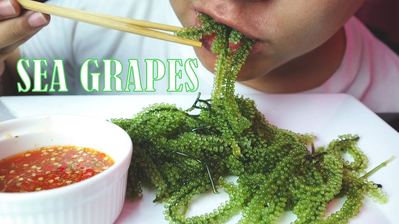 ASMR SEA GRAPES -- EATING SOUNDS -- NO TALKING -- ASMR NEK - YouTube