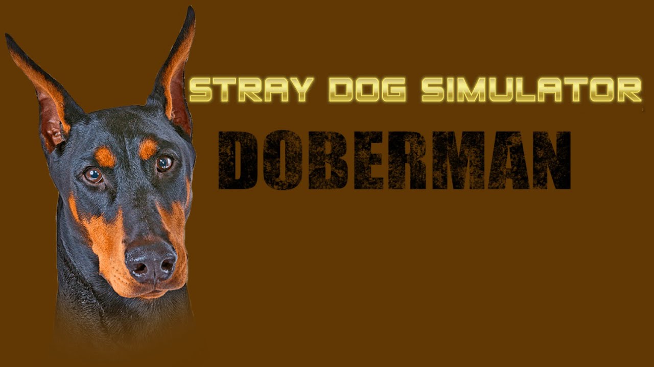 STRAY DOG SIMULATOR - DOBERMAN - By Gluten Free Games -Compatible with ...