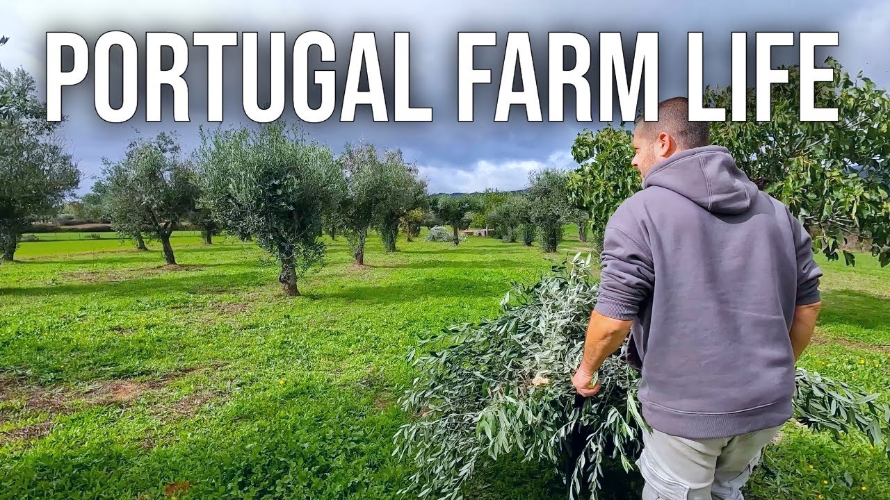 Our Beautiful Portuguese Farm | PORTUGAL FARM LIFE - YouTube