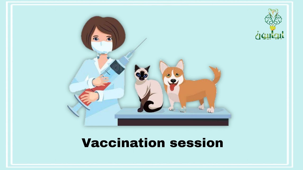 Vaccination of Pets Dr Nader Khaled - YouTube