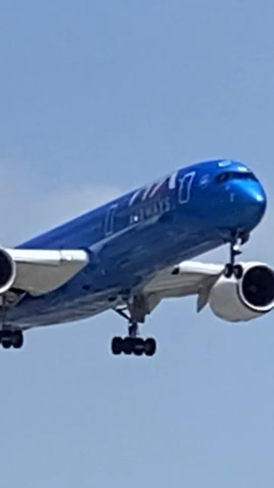 ITA Airways A350 Landing at LAX Airport - YouTube