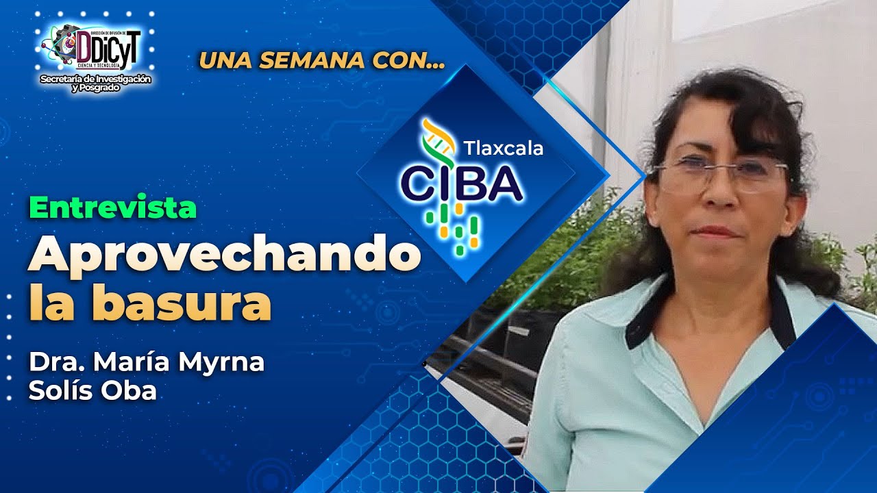 Entrevista Aprovechando la basura Dra. María Myrna Solís Oba - YouTube