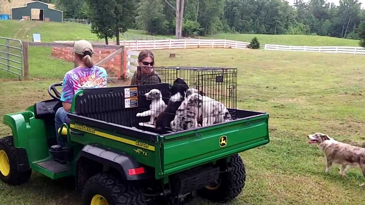 Riding in Gator - YouTube