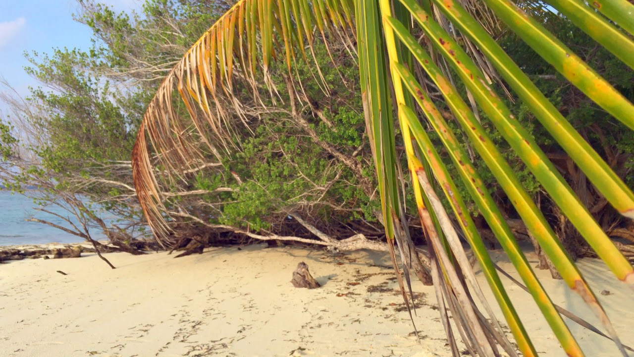 Maldives, Fehendhoo island - YouTube
