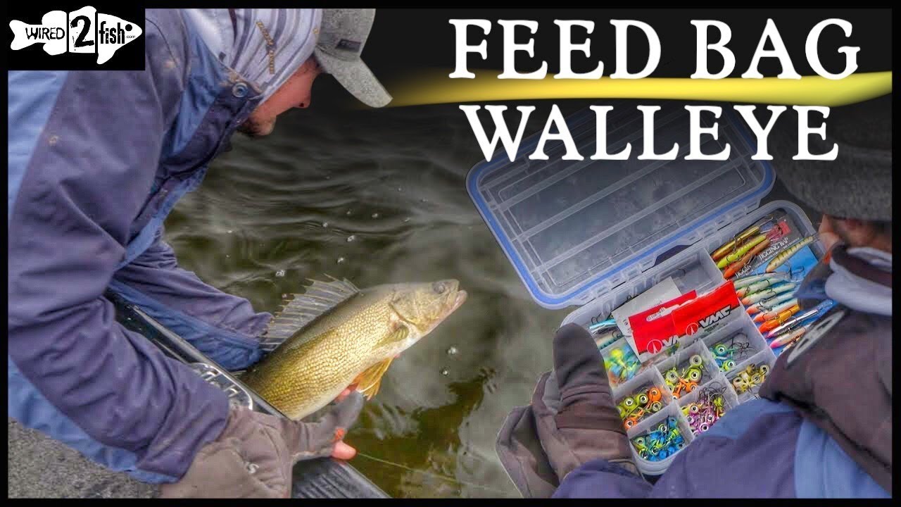 Targeting Steep Edges for Fall Walleyes With Jigging Raps - YouTube