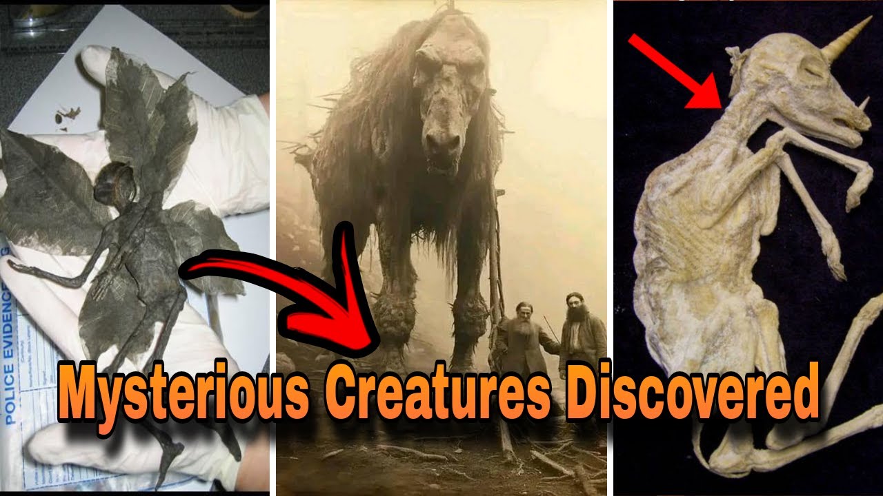 15 The Most Mysterious Creatures Discovered - YouTube