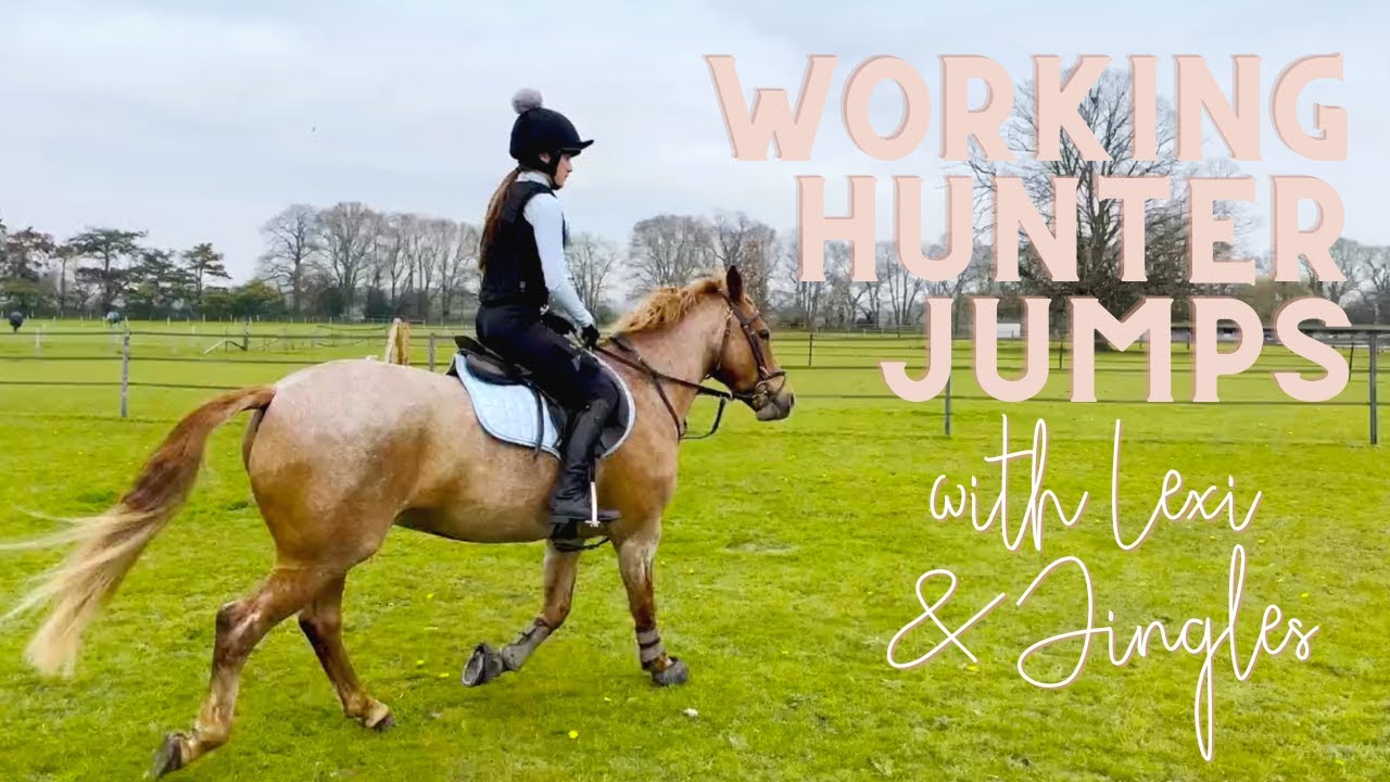 Working Hunter Jumps with Lexi & Jingles (& friends!) - YouTube