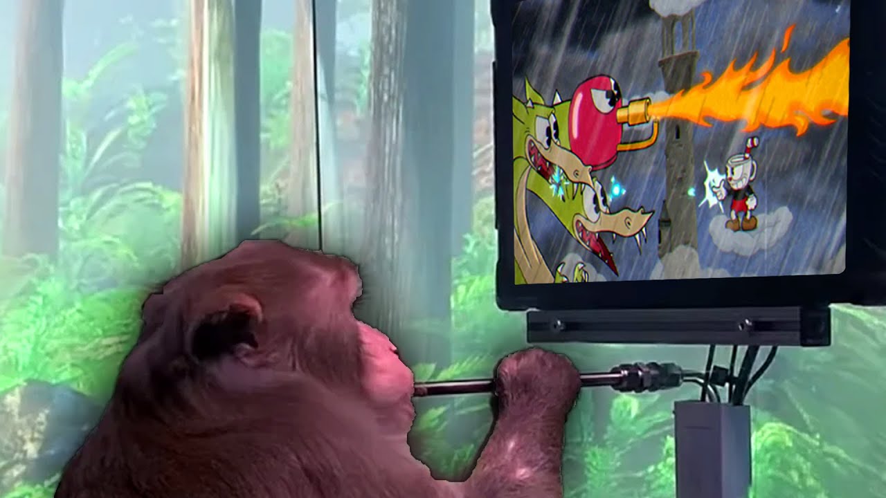 A Monkey beats the hardest Cuphead boss - YouTube