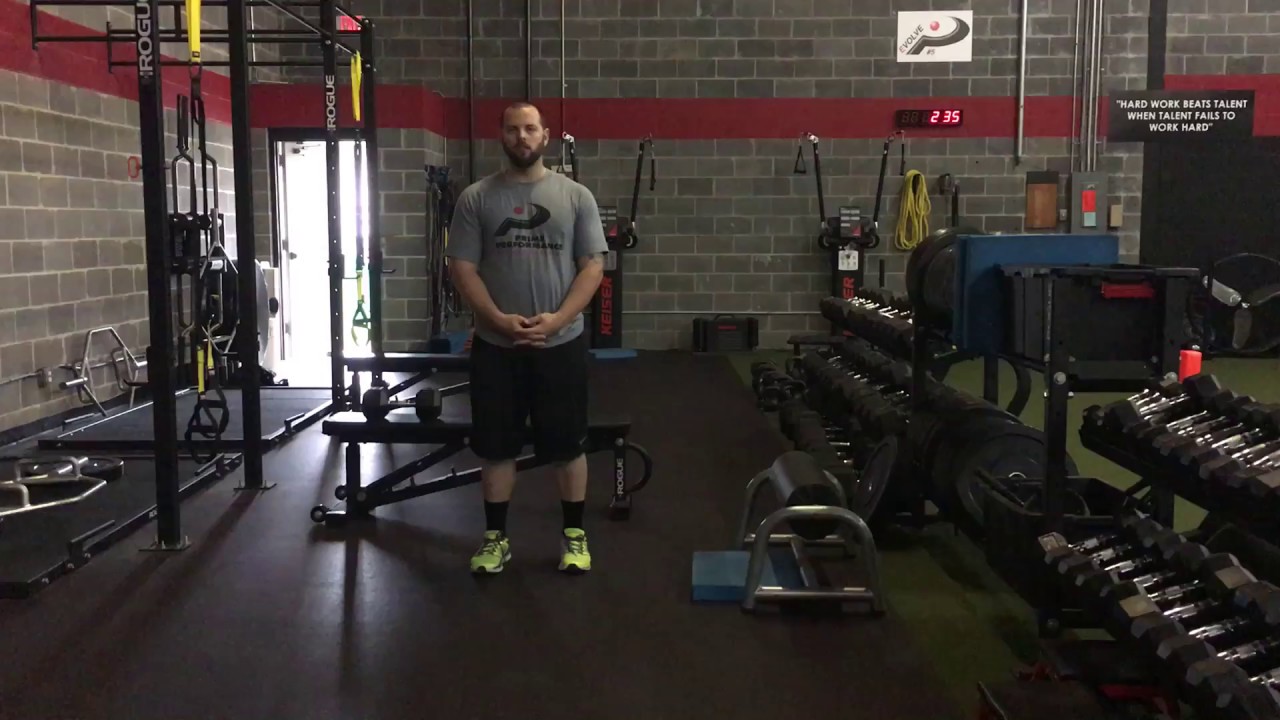 Training Tip Tuesday: Progressions and Regressions of a Split Squat ...