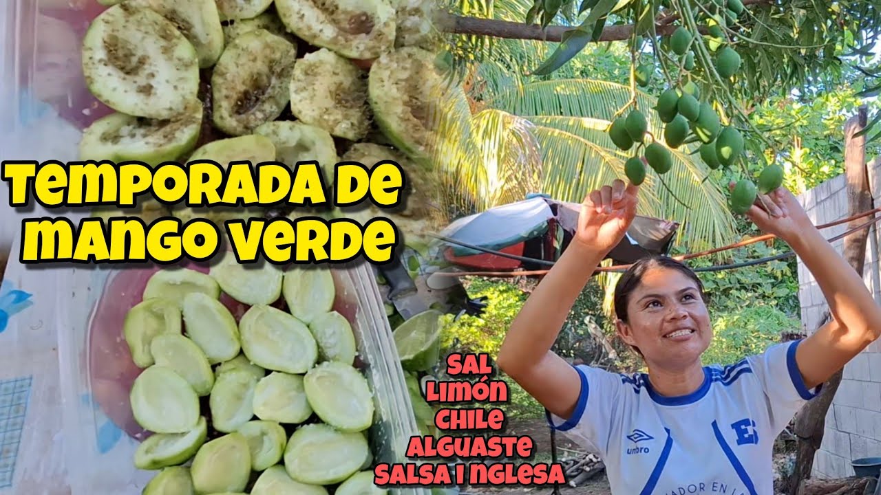😋HACIENDO MANGO VERDE PREPARADO CON, sal, limón, chile, alguashte ...