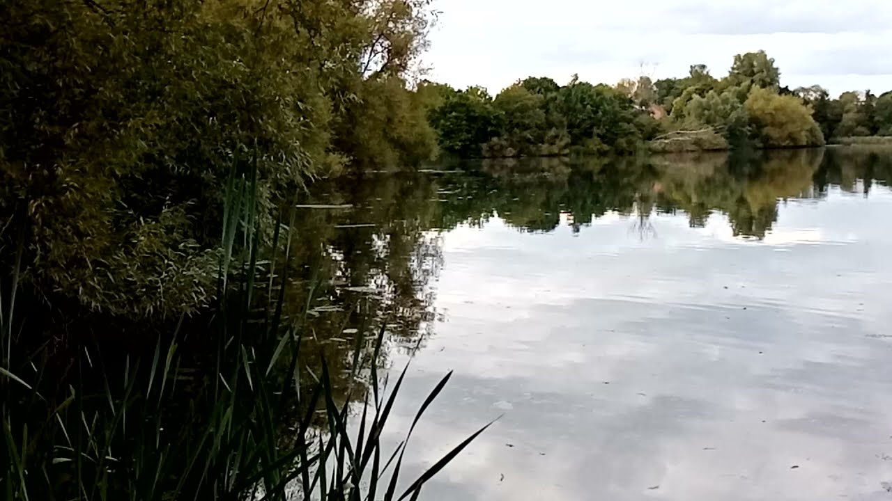 🎣fishing Holmer Lake pool - YouTube