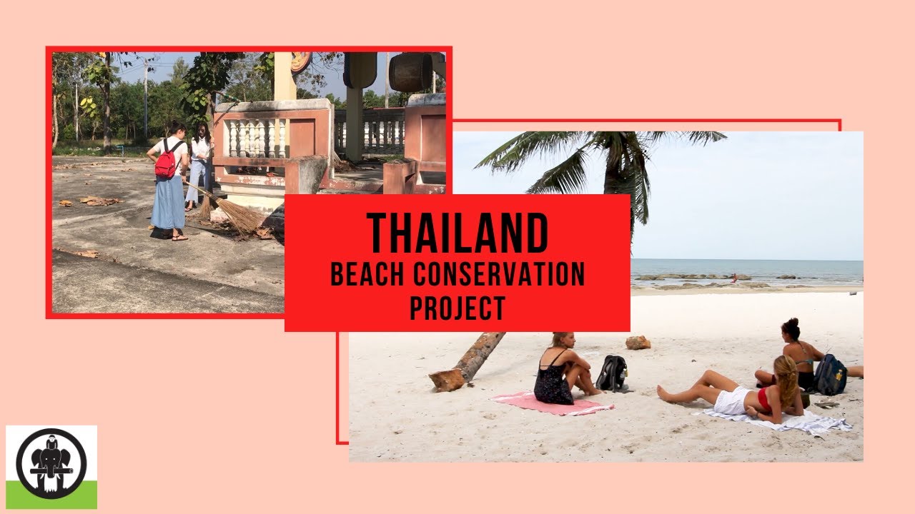 IVI Thailand Beach Conservation Project Hua Hin - YouTube