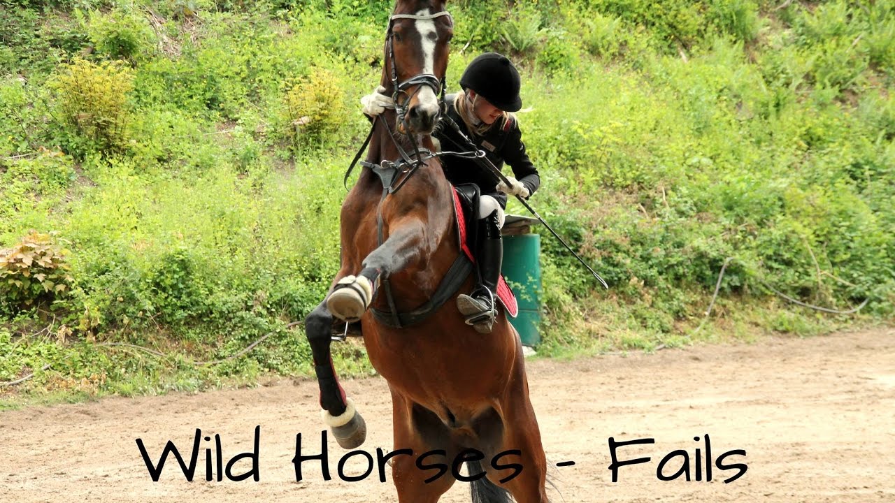 My Wild Horses //fails - YouTube