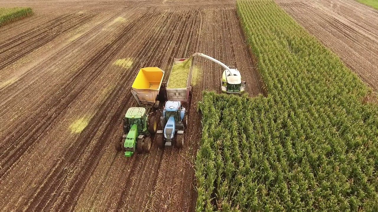 Goofy Video: Viewing farming backwards :-) - YouTube