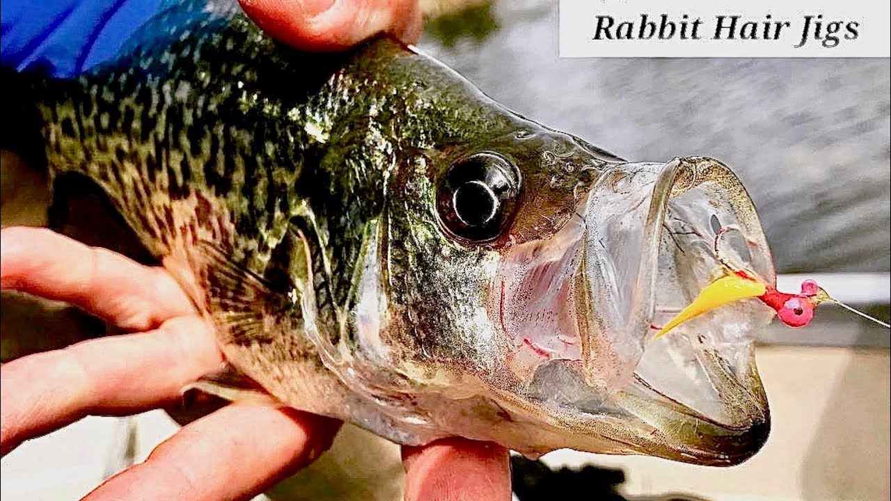 Fishing for spring Crappie and Bluegill!!! (JB Lures Rabbit Hair Jig ...