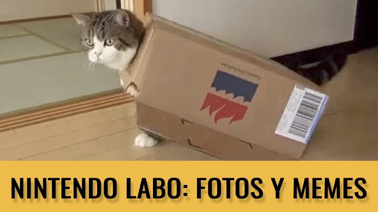 NINTENDO LABO - FOTOS Y MEMES - YouTube